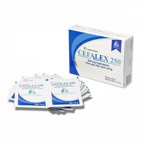 Cefalex Cephalexin 250mg Boston (H/24G) – SHOPTHUOC