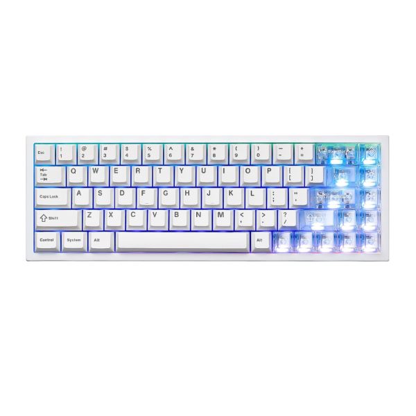 Bàn phím cơ Yunzii AL65 - Silver