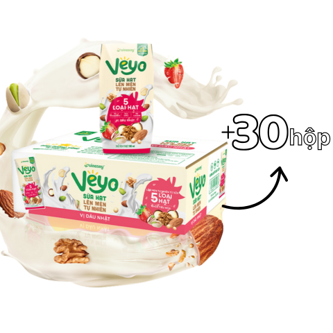 Sữa chua uống từ thực vật Veyo Yogurt vị dâu Nhật hộp 180ml – VANTHANHSTORE