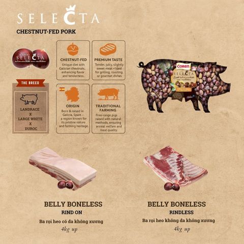 PGF ASIA - YOUR FOOD OUR PASSION!!!