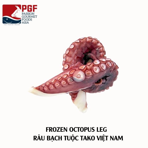Frozen Octopus Leg | Râu Bạch Tuộc Tako Việt Nam – PGF ASIA