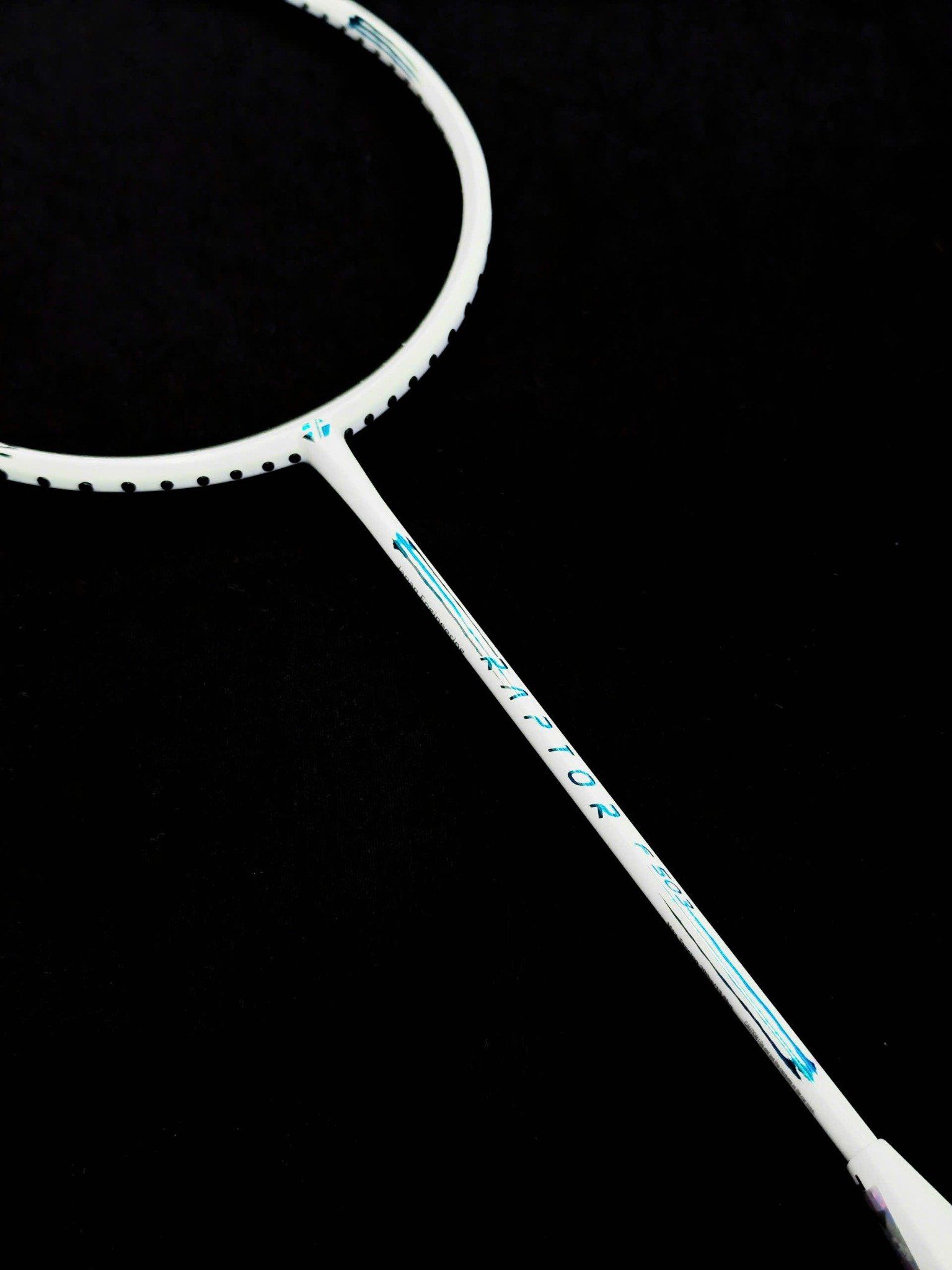 VỢT TOALSON RAPTOR 2025 – Dũng Sport