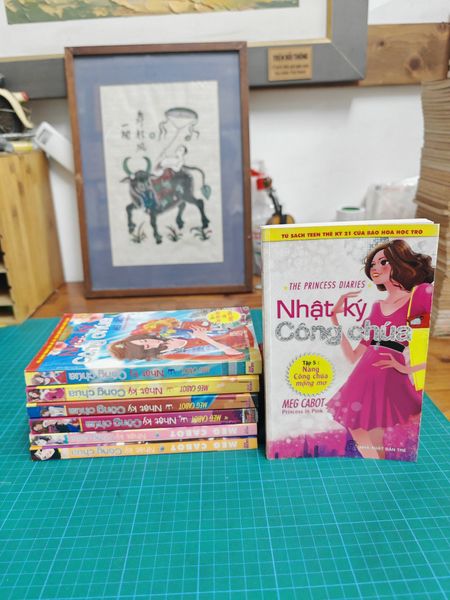 Nhật ký công chúa - Meg Cabot ( 11 cuốn ) – Momo Bookstore