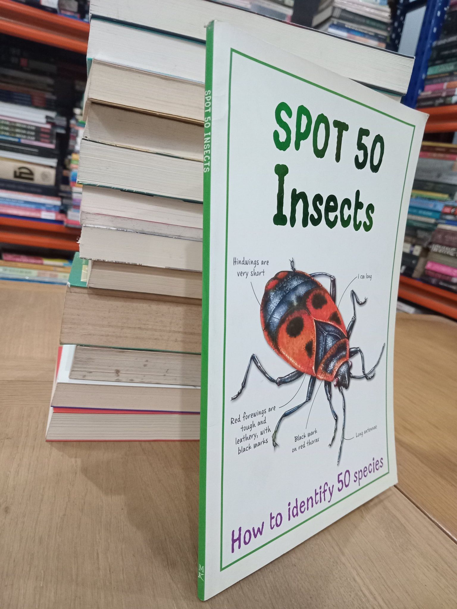 Spot 50 insects: How to identify 50 species – Momo Bookstore