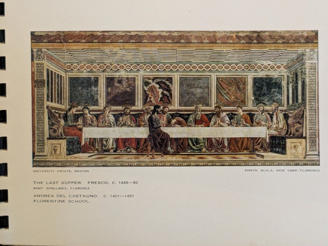 Merlin,Madonna,& The Big Bad Wolf Volume II – Momo Bookstore