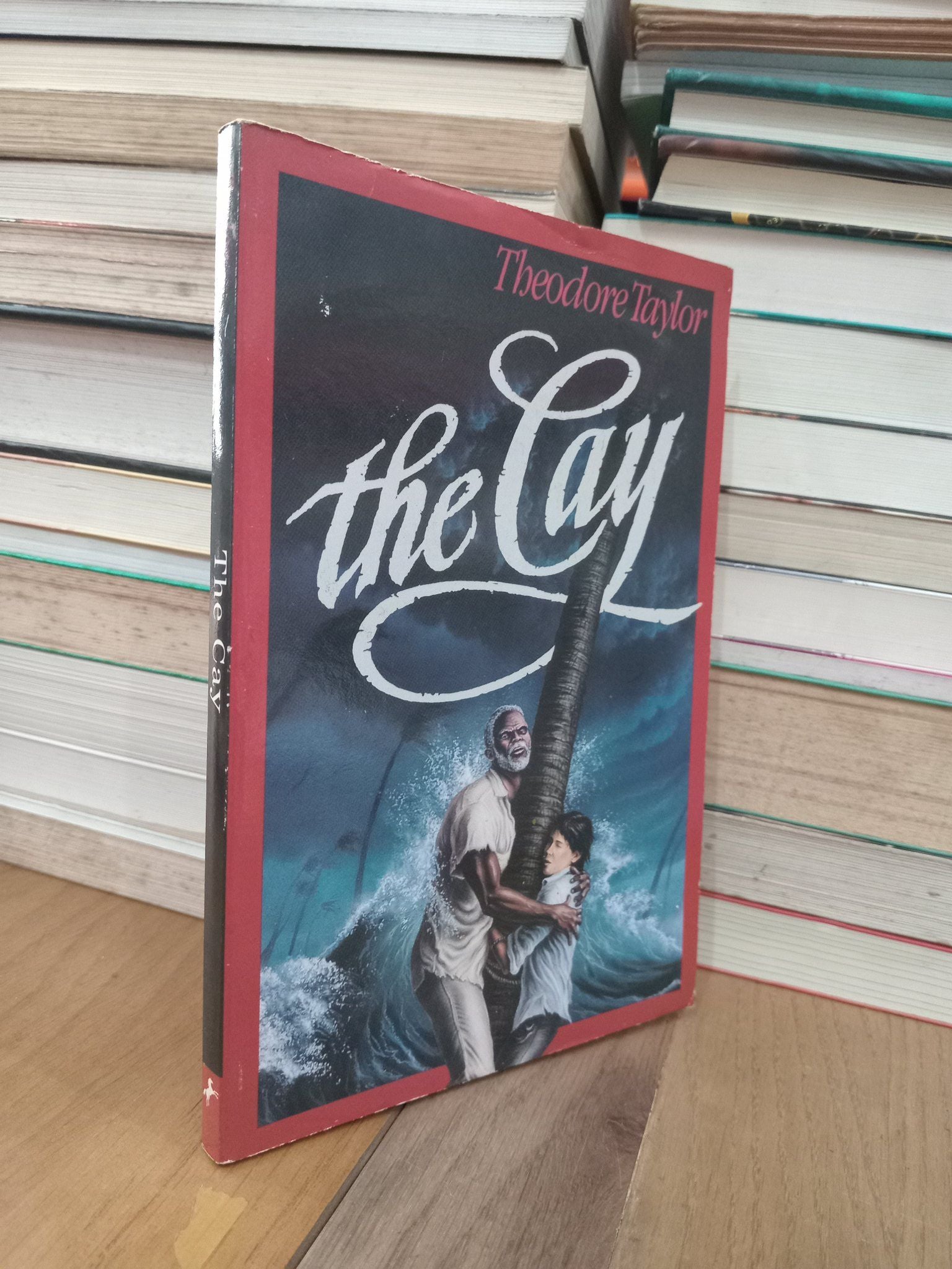 The cay - Theodore Taylor – Momo Bookstore