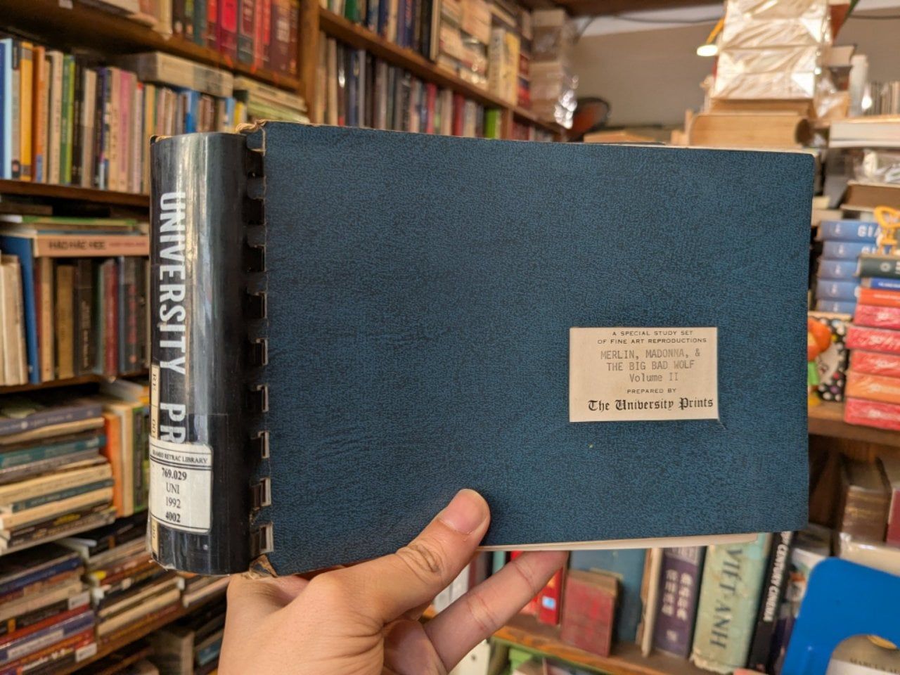 Merlin,Madonna,& The Big Bad Wolf Volume II – Momo Bookstore