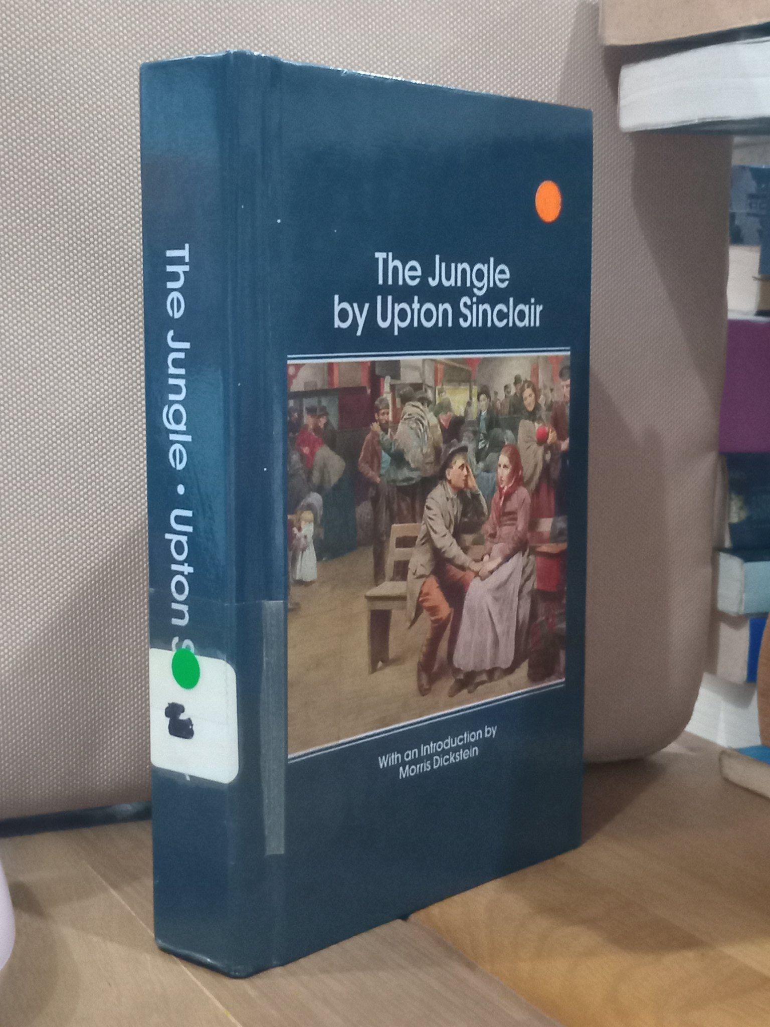 The Jungle by Upton SInclair – Momo Bookstore