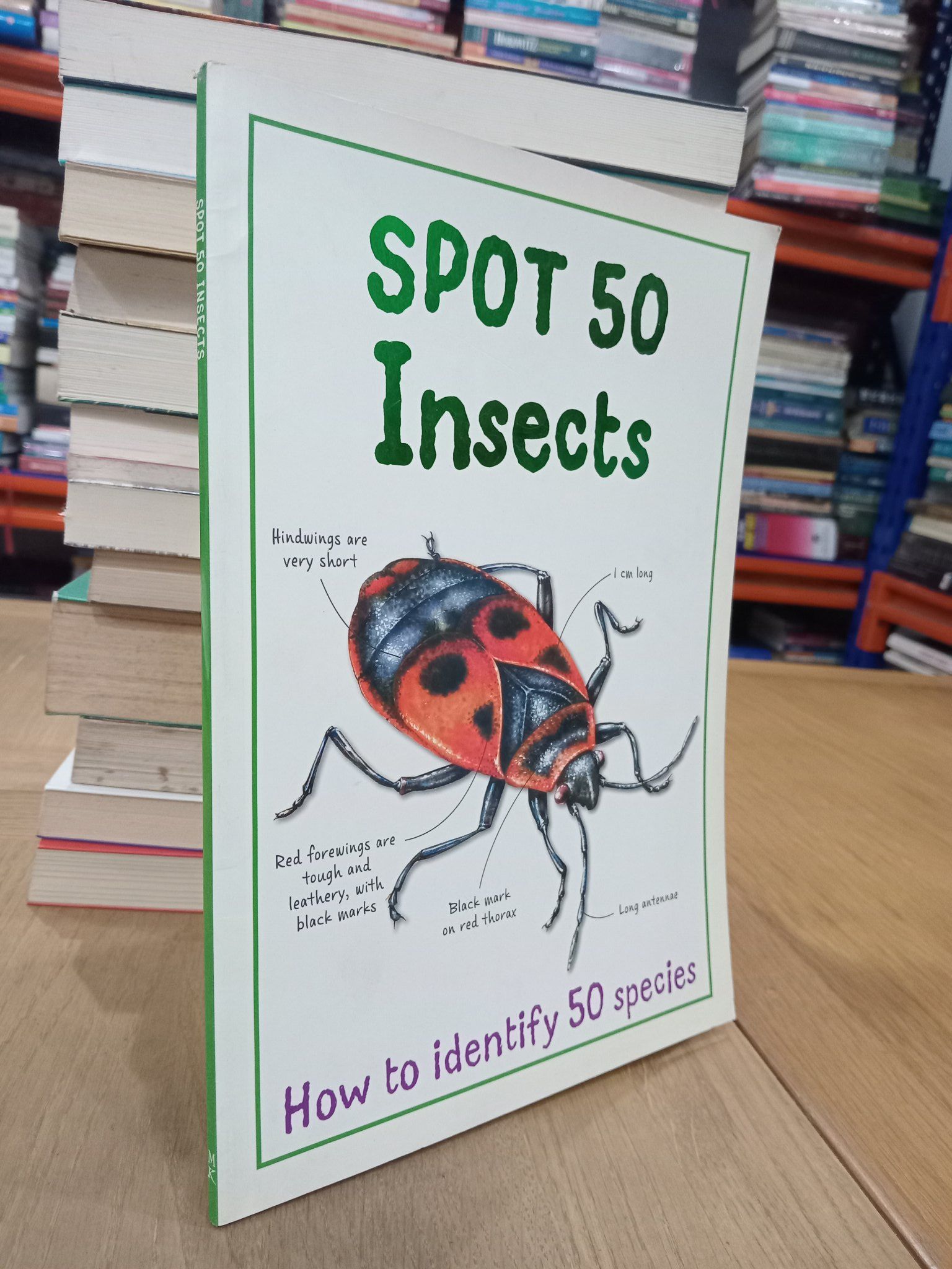 Spot 50 insects: How to identify 50 species – Momo Bookstore