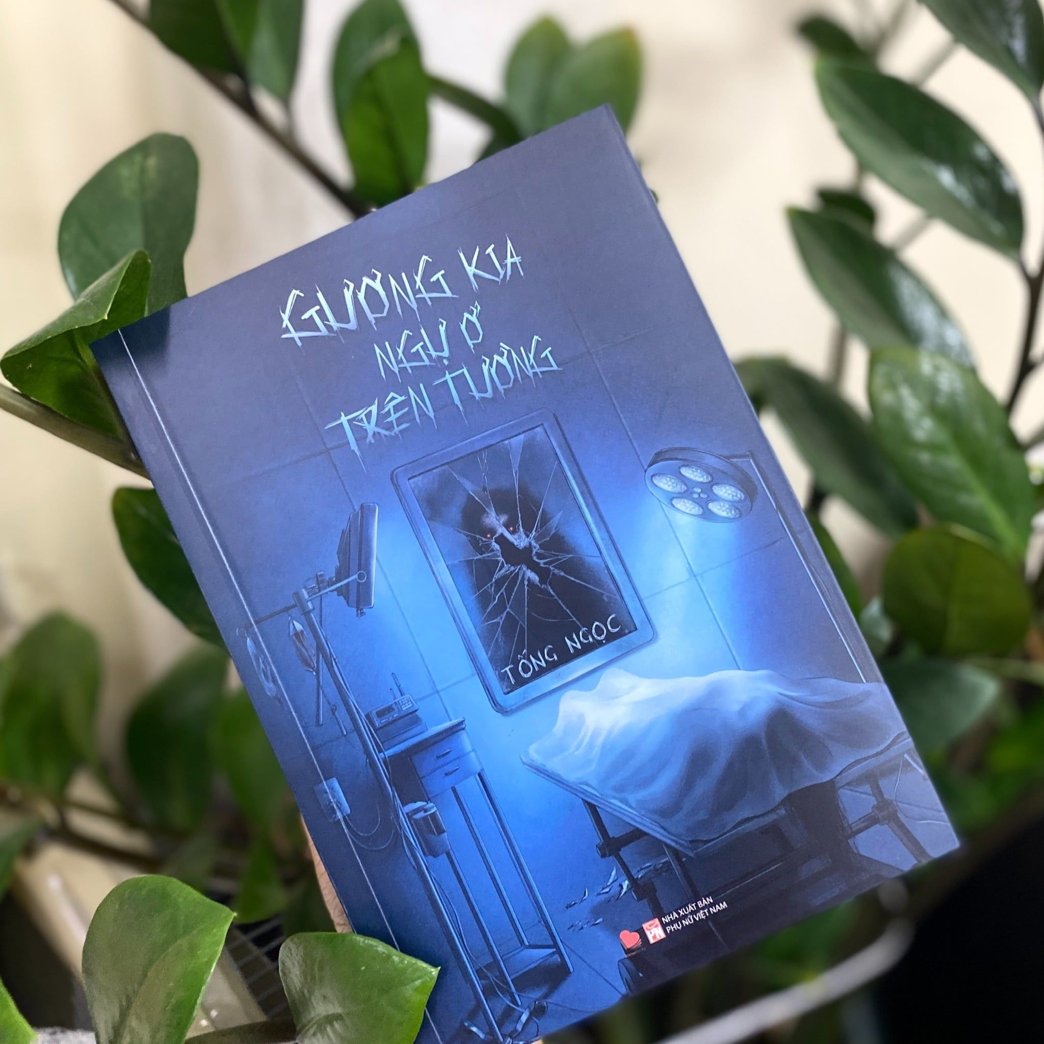 Sách - Gương kia ngự ở trên tường - Tống Ngọc – CÔNG TY CỔ PHẦN SÁCH ...