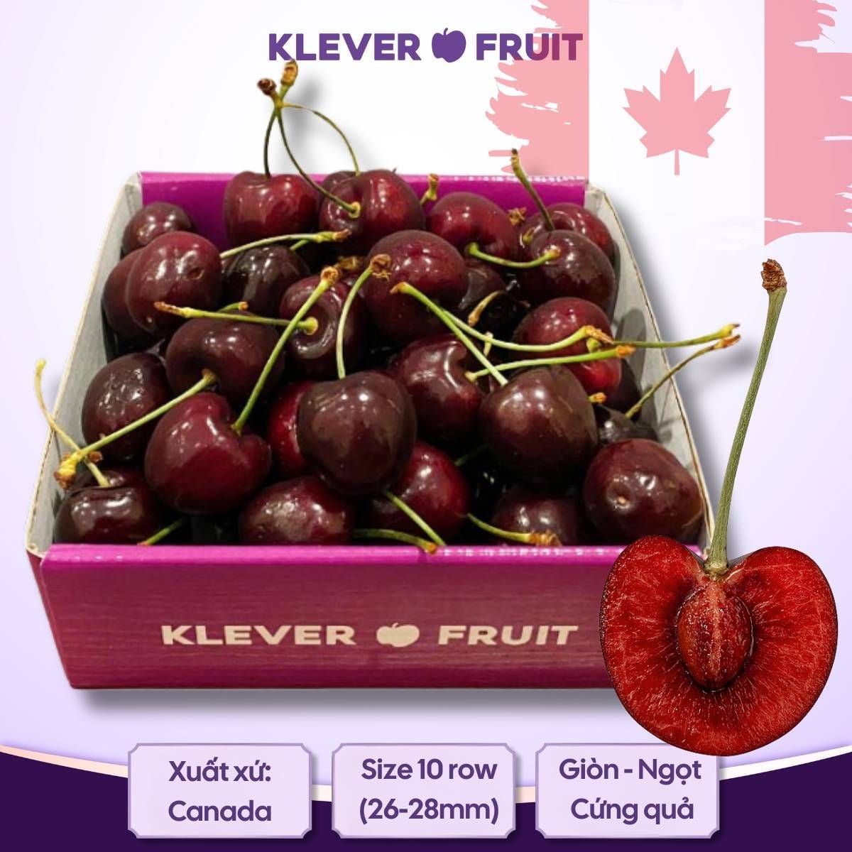 Cherry Đỏ Canada Nhập Khẩu Cao Cấp - Canadian Cherry | Klever Fruit