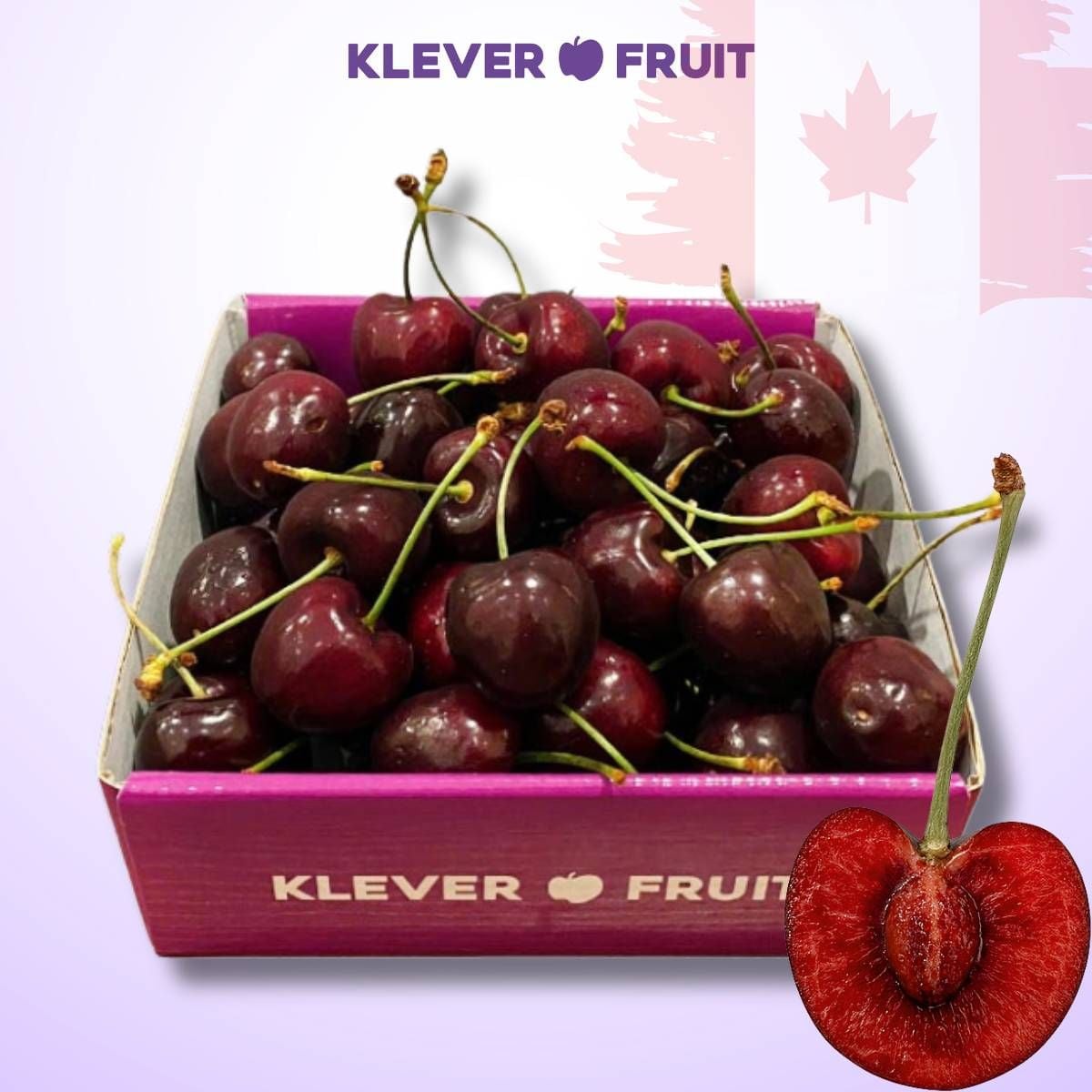 Cherry Đỏ Canada Nhập Khẩu Cao Cấp - Canadian Cherry | Klever Fruit
