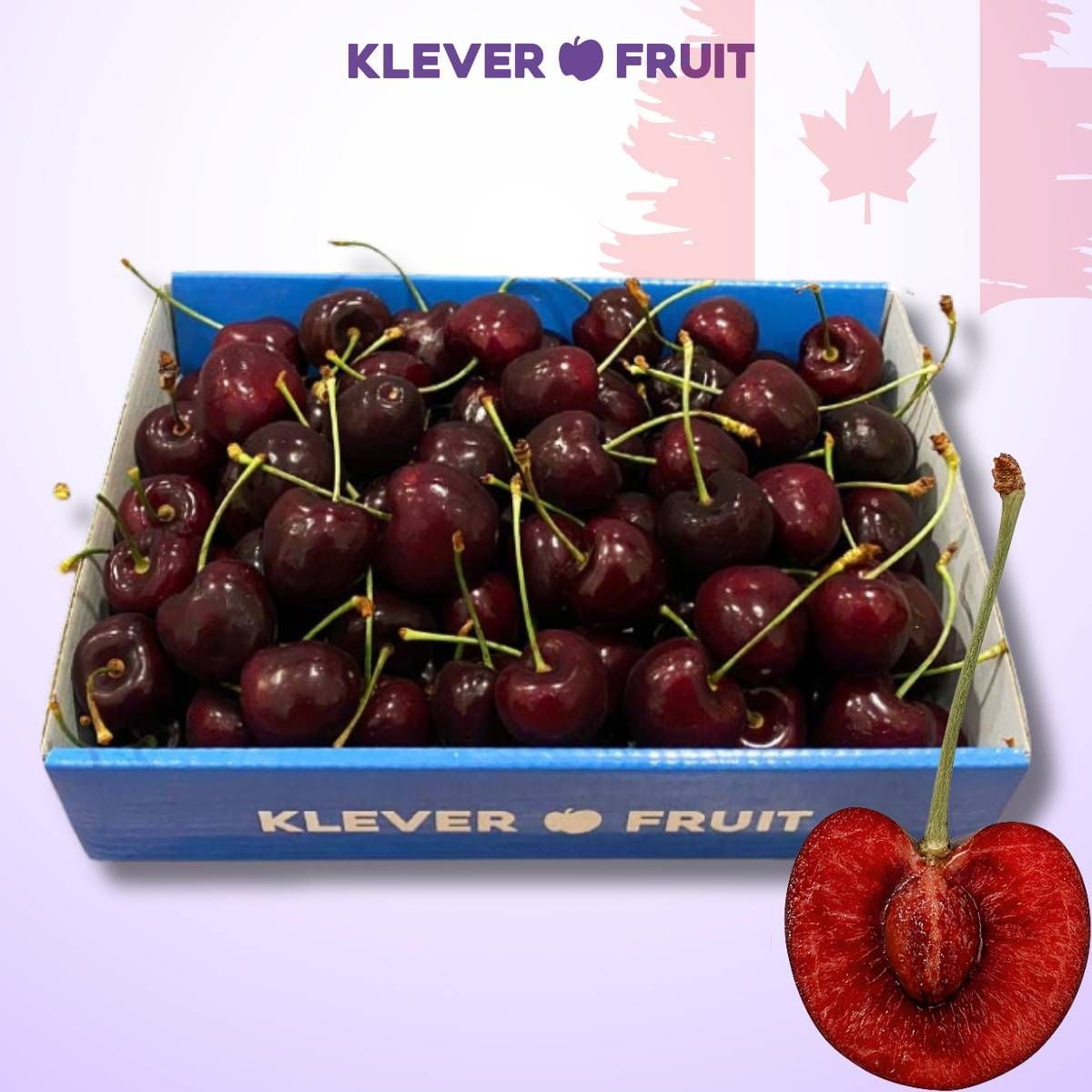 Cherry Đỏ Canada Nhập Khẩu Cao Cấp - Canadian Cherry | Klever Fruit