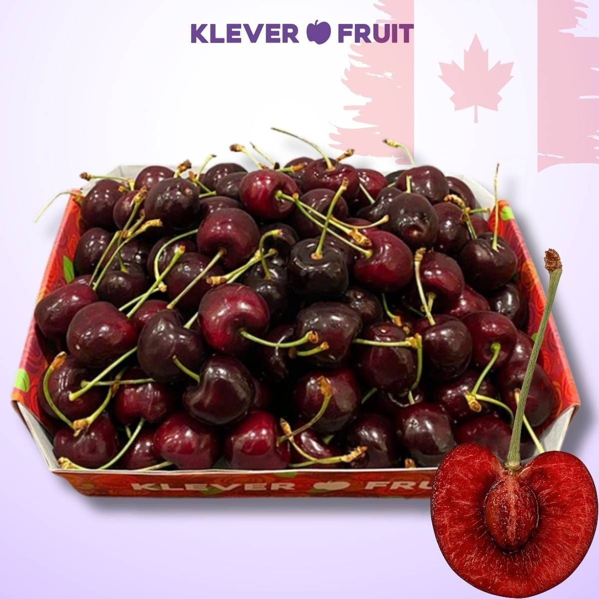 Cherry Đỏ Canada Nhập Khẩu Cao Cấp - Canadian Cherry | Klever Fruit