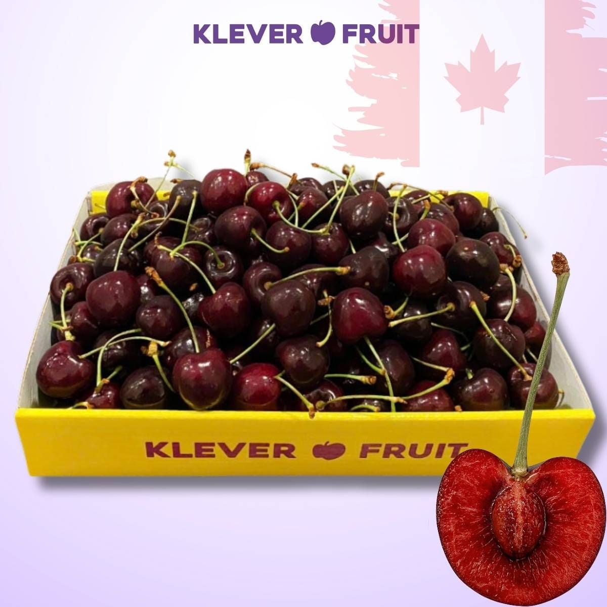 Cherry Đỏ Canada Nhập Khẩu Cao Cấp - Canadian Cherry | Klever Fruit