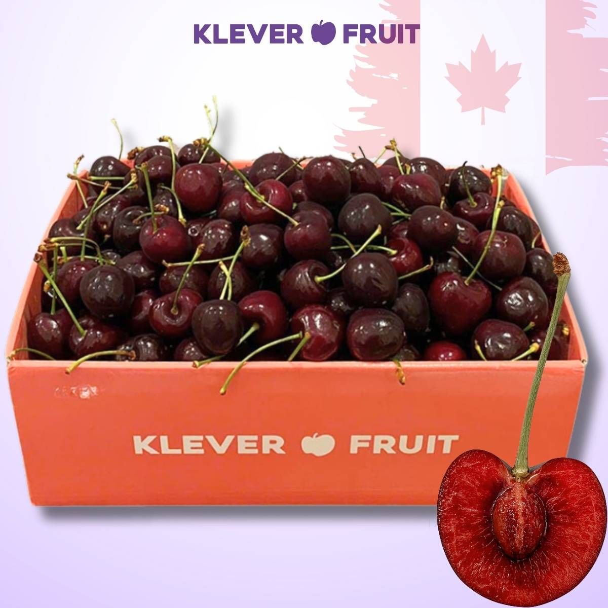 Cherry Đỏ Canada Nhập Khẩu Cao Cấp - Canadian Cherry | Klever Fruit