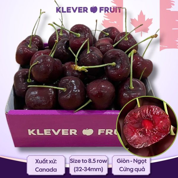 Cherry Number One Canada Size To - Canadian Cherry Tại Klever Fruit