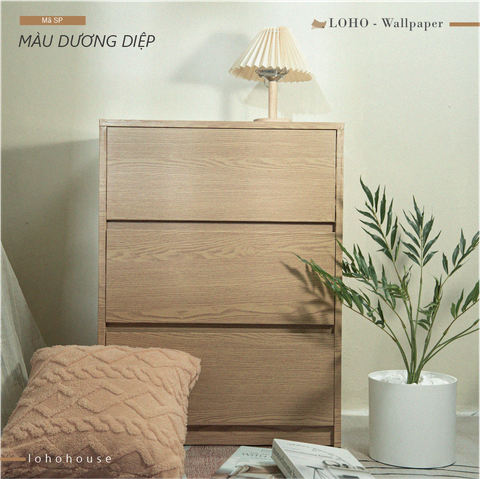 Loho House - Sơn nhà và decor theo phong cách của bạn!