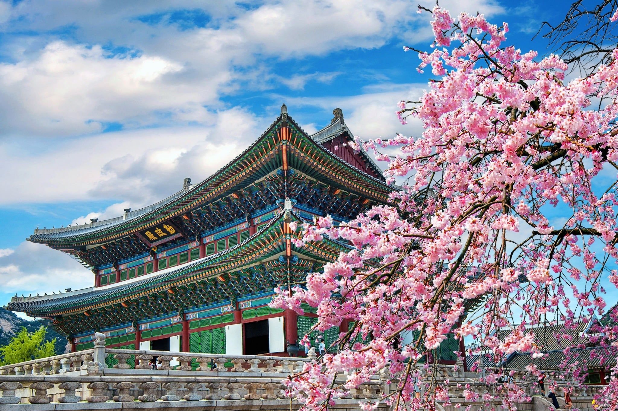 HÀN QUỐC MÙA HOA ANH ĐÀO: BUSAN - GYEONGJU - SEOUL – BESTTOUR VIETNAM