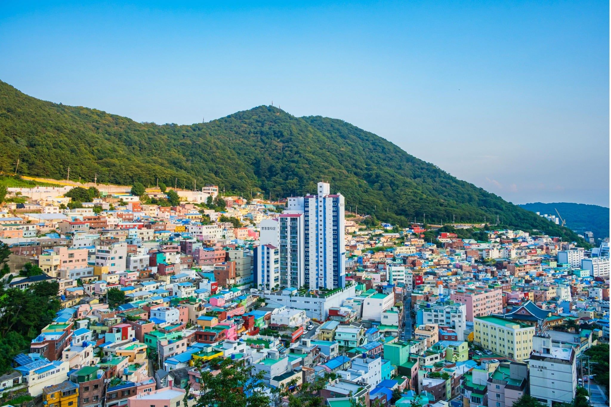 HÀN QUỐC MÙA HOA ANH ĐÀO: BUSAN - GYEONGJU - SEOUL – BESTTOUR VIETNAM