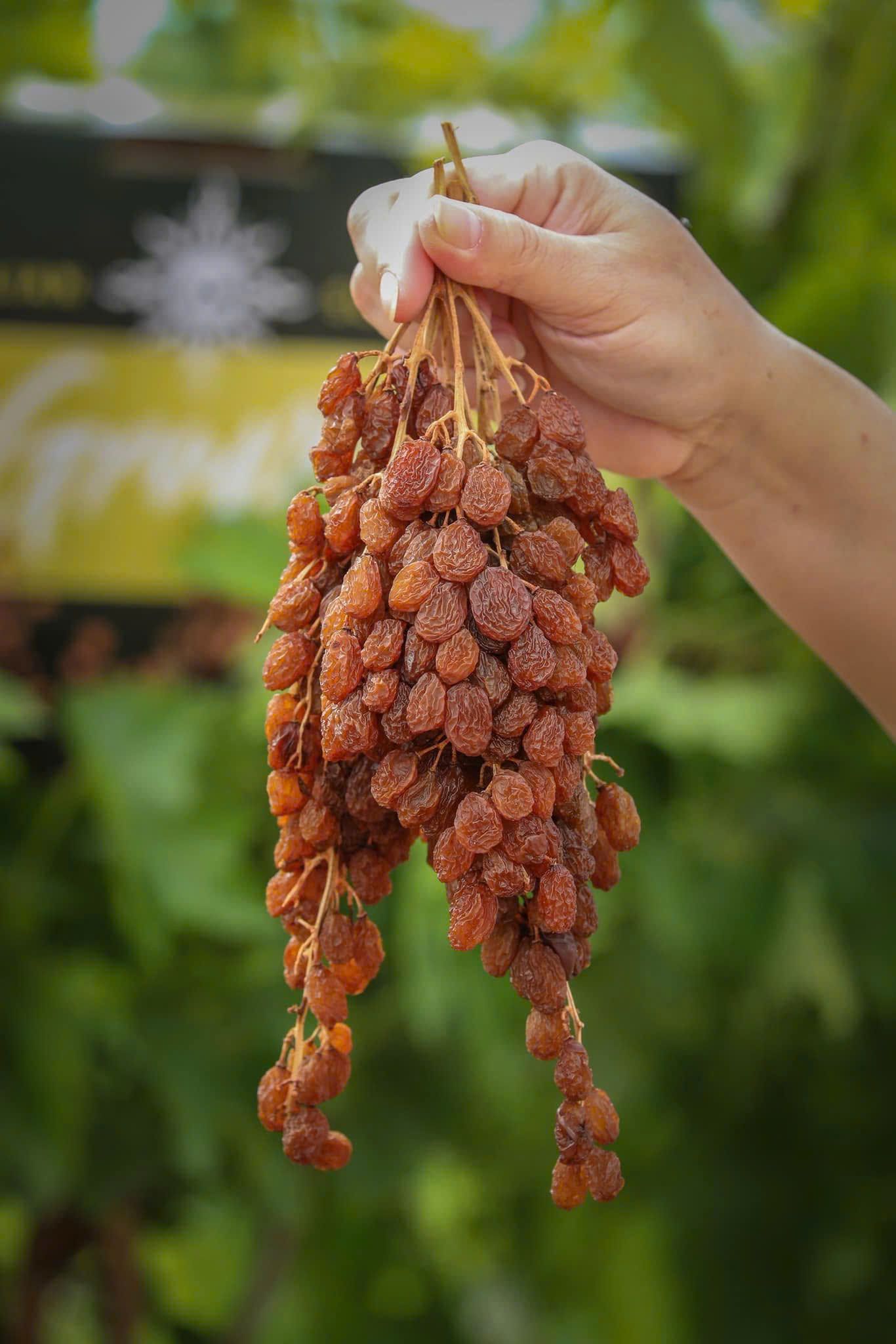 Nho nguyên cành Sunmuscat Úc 500g – Hannah Food