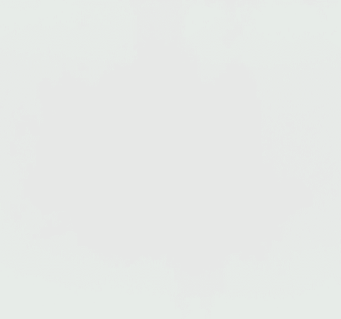 Pure White – VICCORP