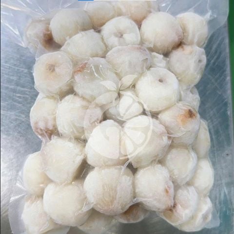 Frozen Lychee – Food Manufacturer & Exporter of products from Fruits