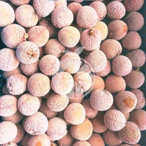 Frozen Lychee – Food Manufacturer & Exporter of products from Fruits