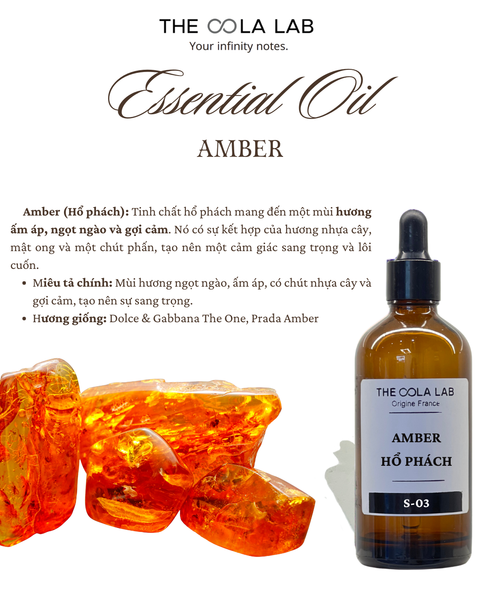 Tinh Chất đơn Amber - The OOla Lab – The OOla Lab Ha Noi