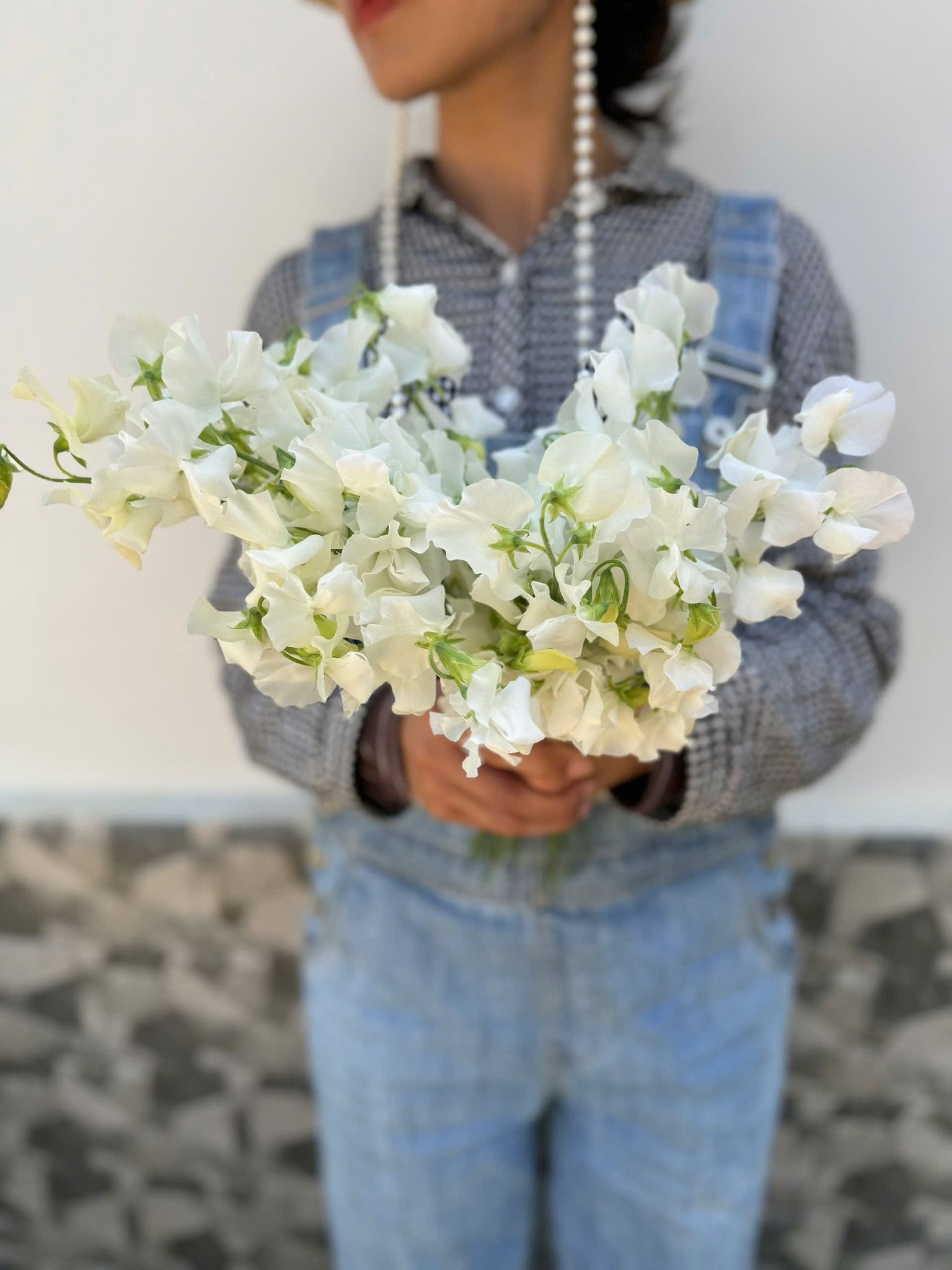 Sweet Pea - Hoa Đậu Thơm – NGUYEN FLOWER FARM