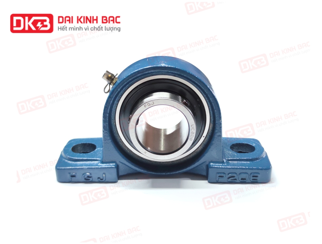 Gối Đỡ Vòng Bi UCP 208