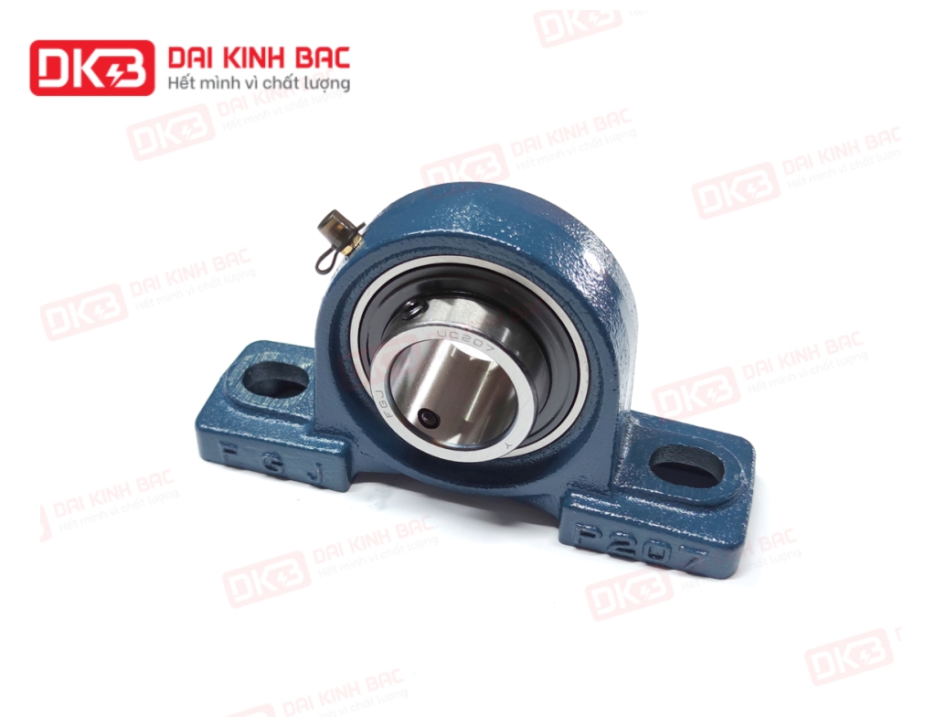 Gối Đỡ Vòng Bi UCP 207