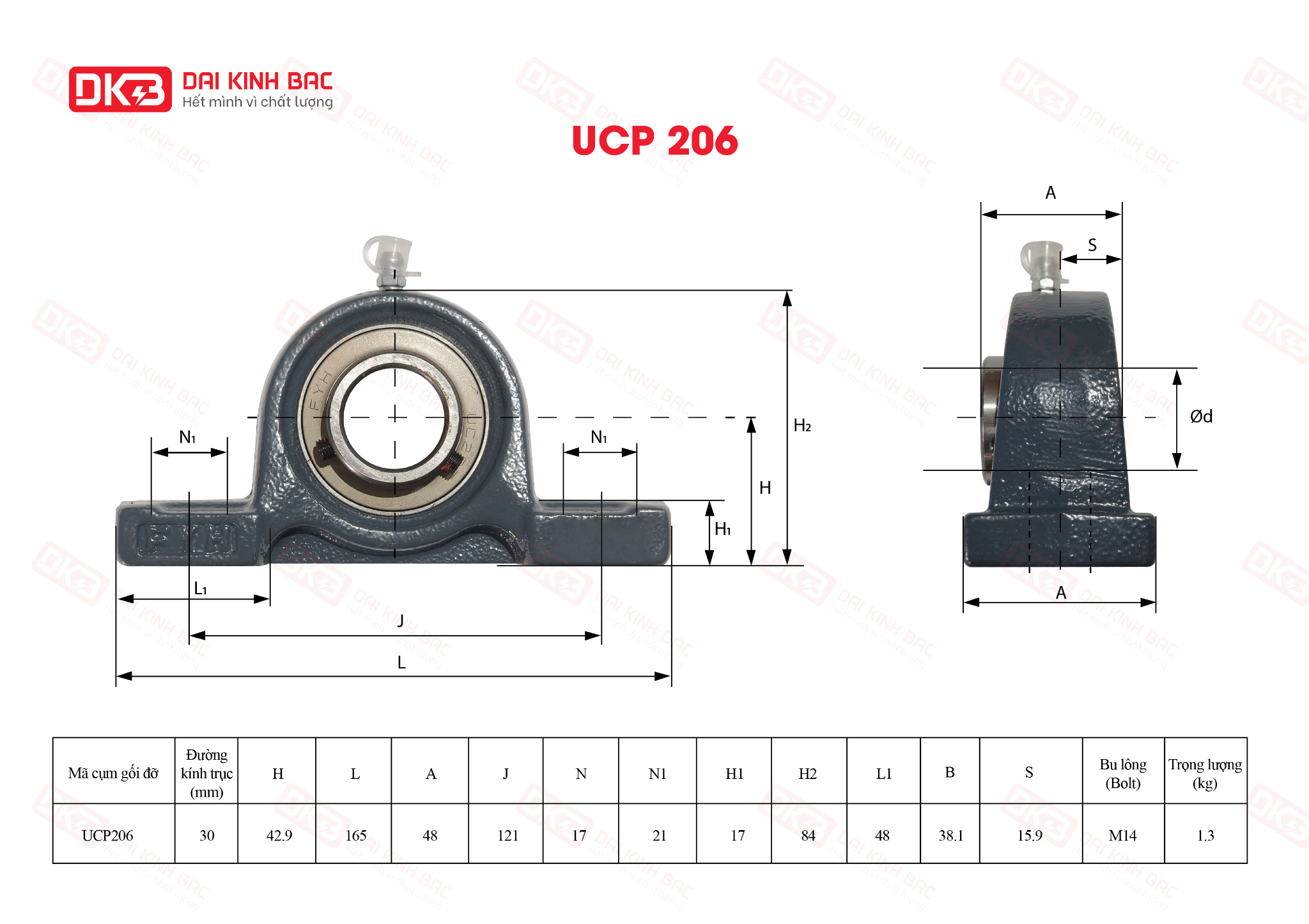 Gối Đỡ Vòng Bi FYH UCP 206