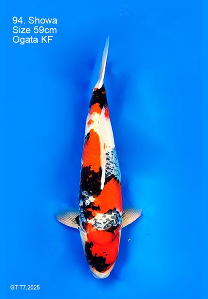 Showa 90 – KOILOVER