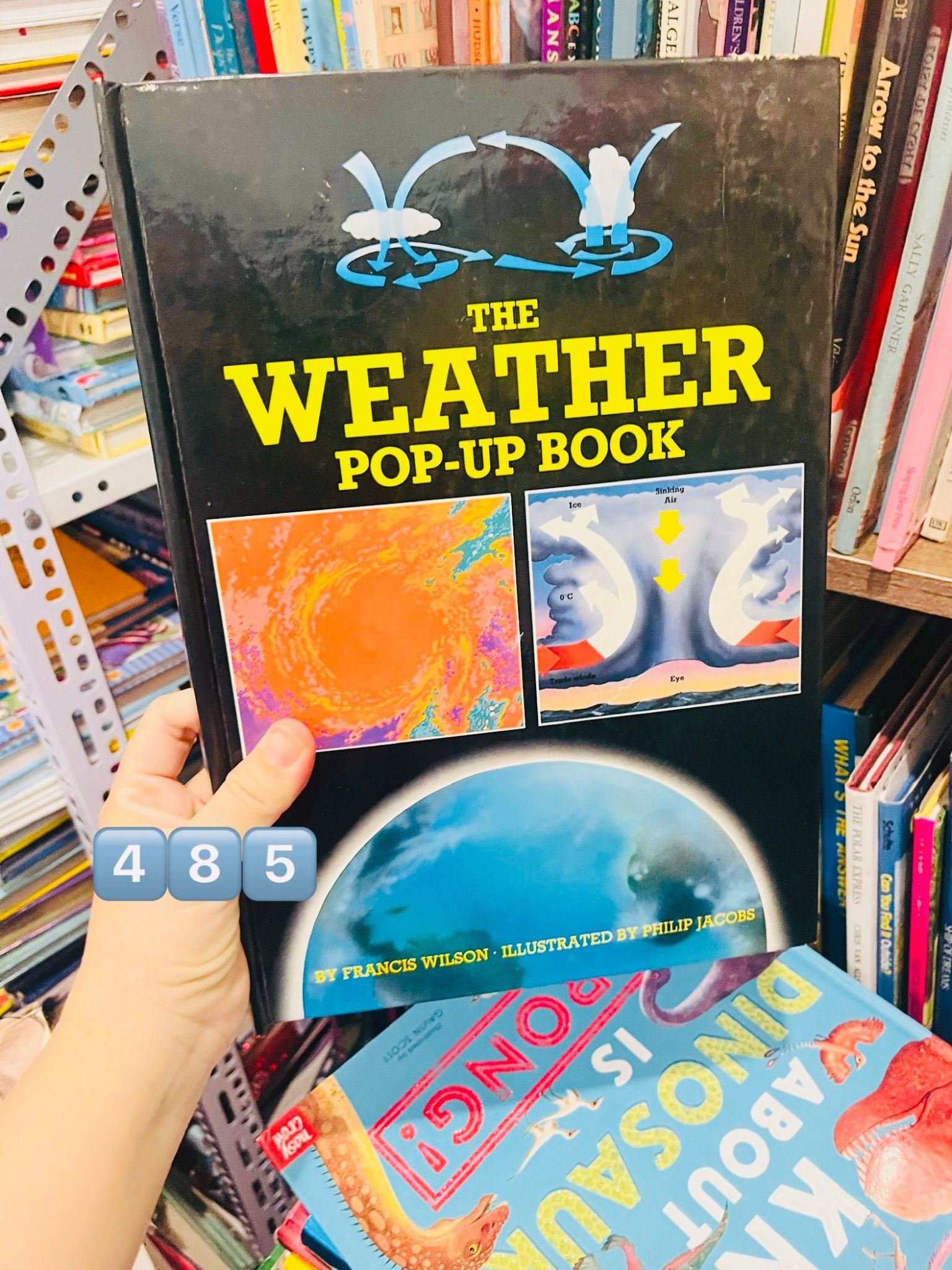 📍The Weather Pop-Up Book – by Francis Wilson – Summer Libra
