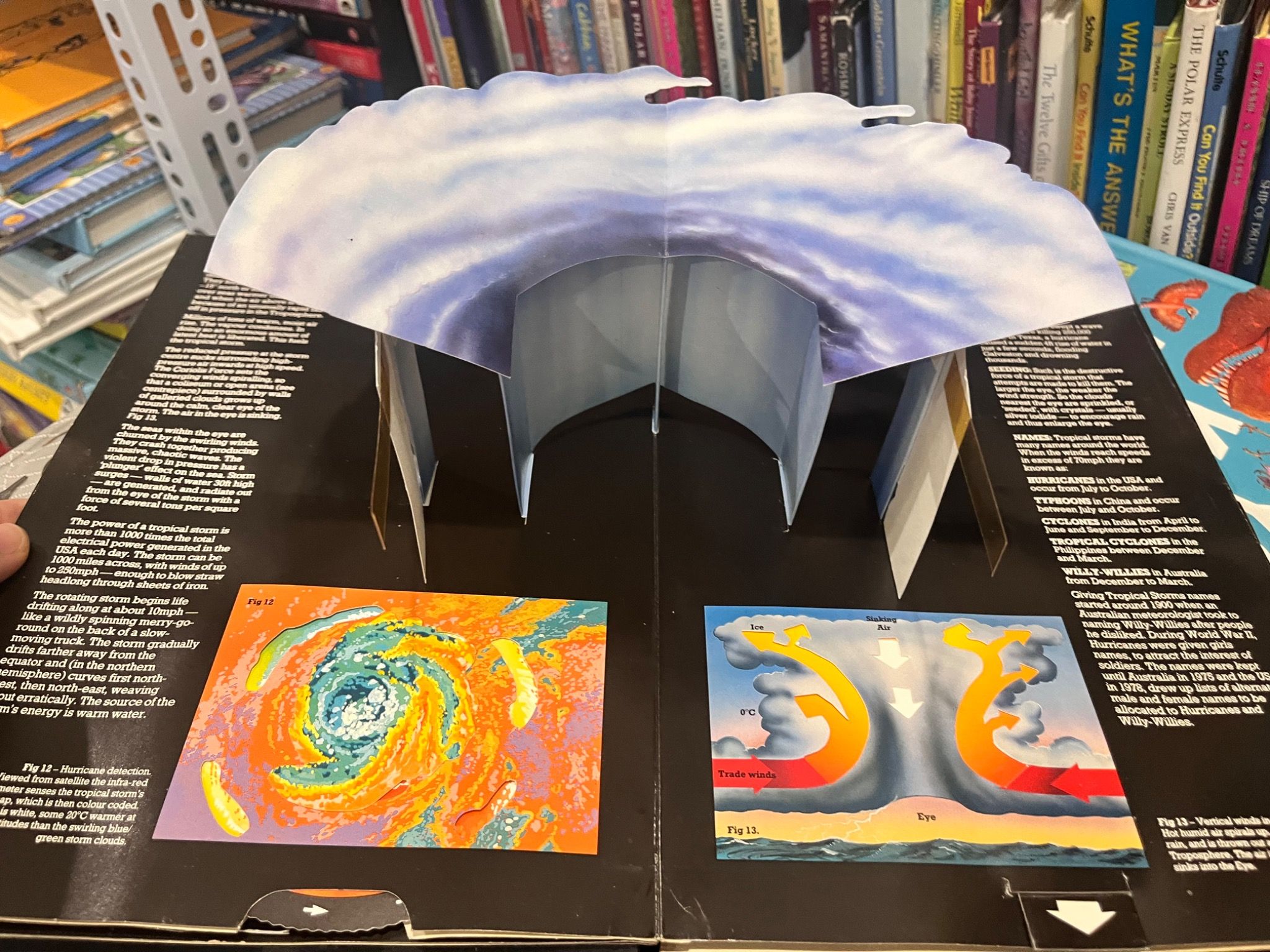 📍The Weather Pop-Up Book – by Francis Wilson – Summer Libra
