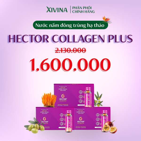 COMBO 3 HỘP HECTOR COLLAGEN PLUS – Xivina