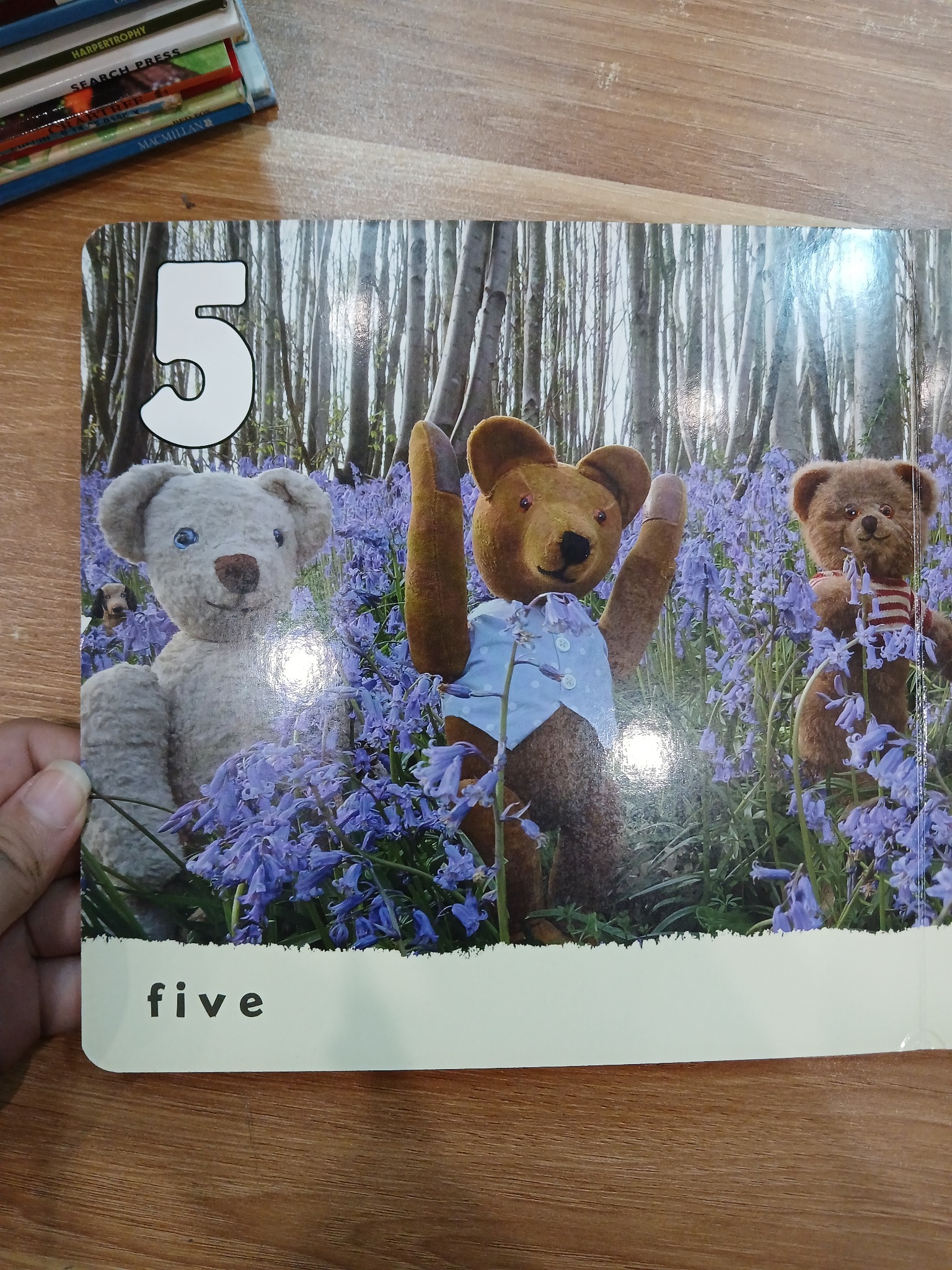 Bluebell Bears - David Ellwand - Tiệm sách Anh Tuấn