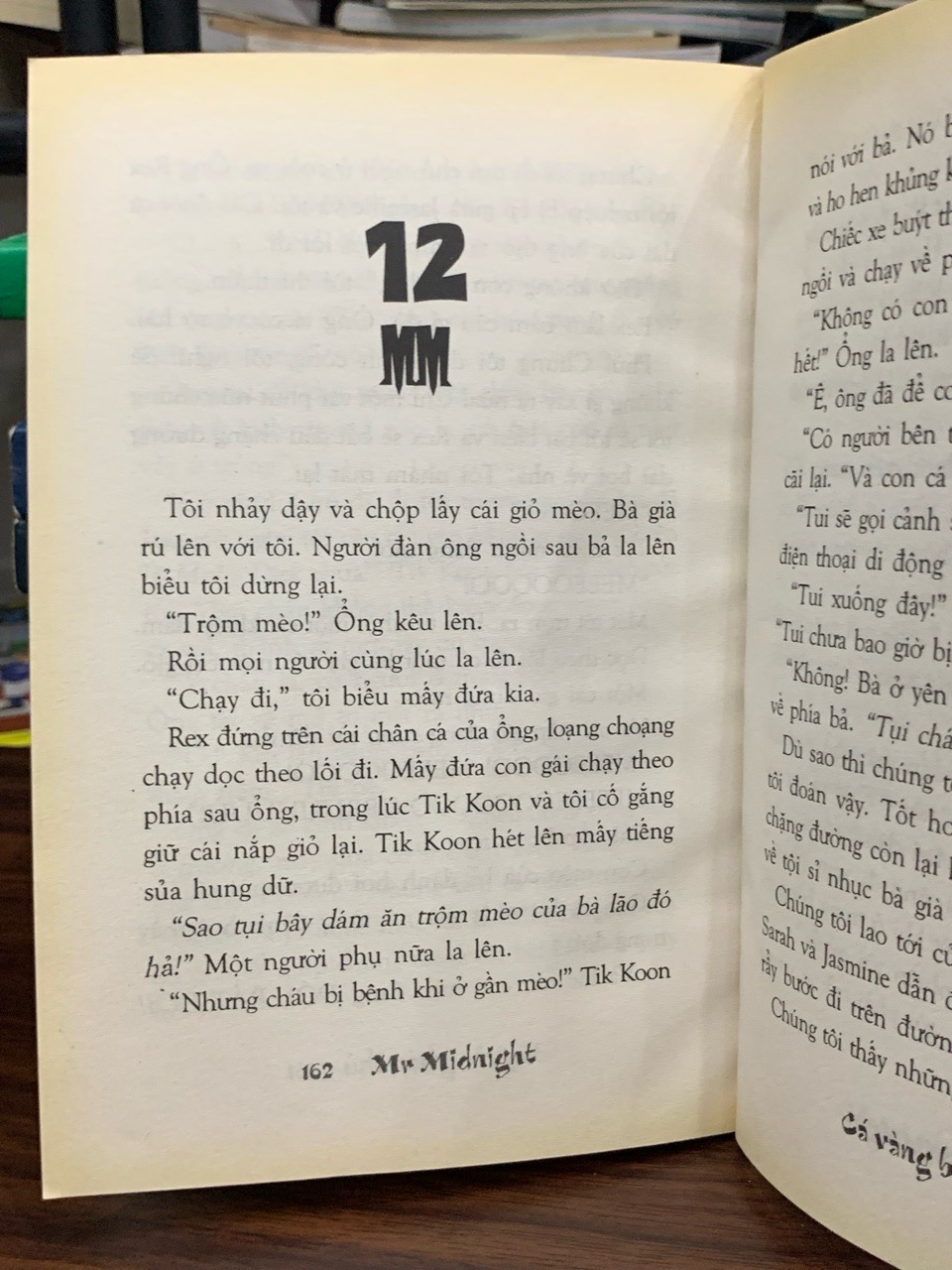 Mr Midnight Kinh hoàng lúc nửa đêm 3: Chuyến xe vô định, Cá vàng báo ...