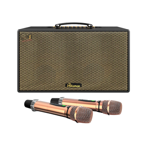 Loa Karaoke PARAMAX Aura cũ – Vua2hand Store