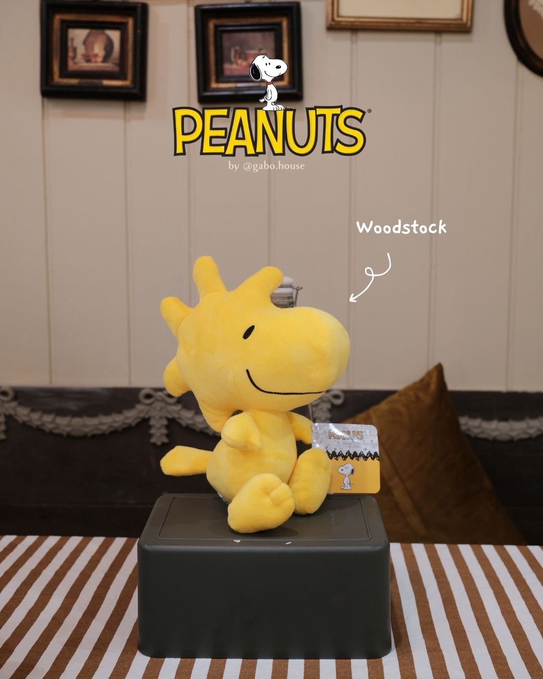 Gấu bông Snoopy và những người bạn (Phim Peanuts) – GABO HOUSE