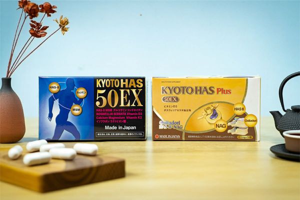 KYOTO HAS 50EX & KYOTO HAS 50EX PLUS – Soraicine