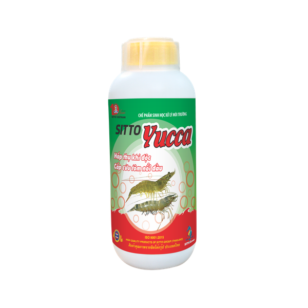 SITTO YUCCA (Chai 1L) – Sitto Việt Nam