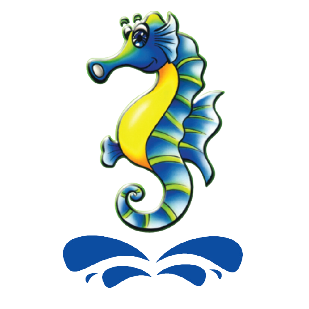 Sitto Việt Nam
